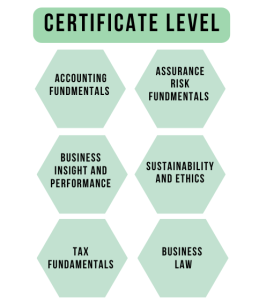The New ICAEW Syllabus - Next Generation ACA - First Intuition