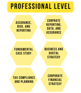 The New ICAEW Syllabus - Next Generation ACA - First Intuition